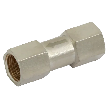 1/8" BSPT Female Check Valve